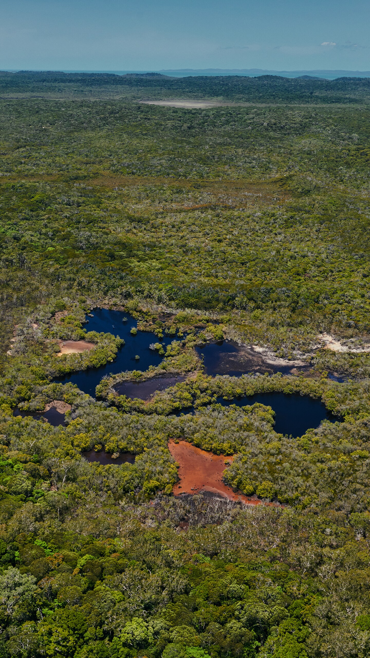 Louis Vuitton & People For Wildlife | LOUIS VUITTON