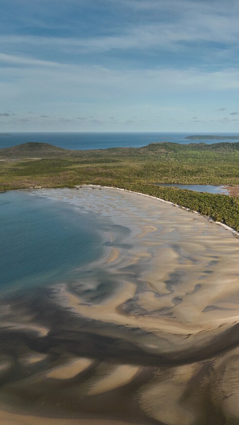 Louis Vuitton & People For Wildlife | LOUIS VUITTON