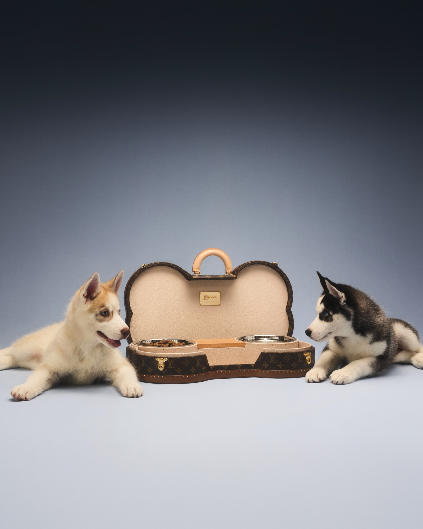 Gifts for Pets | LOUIS VUITTON