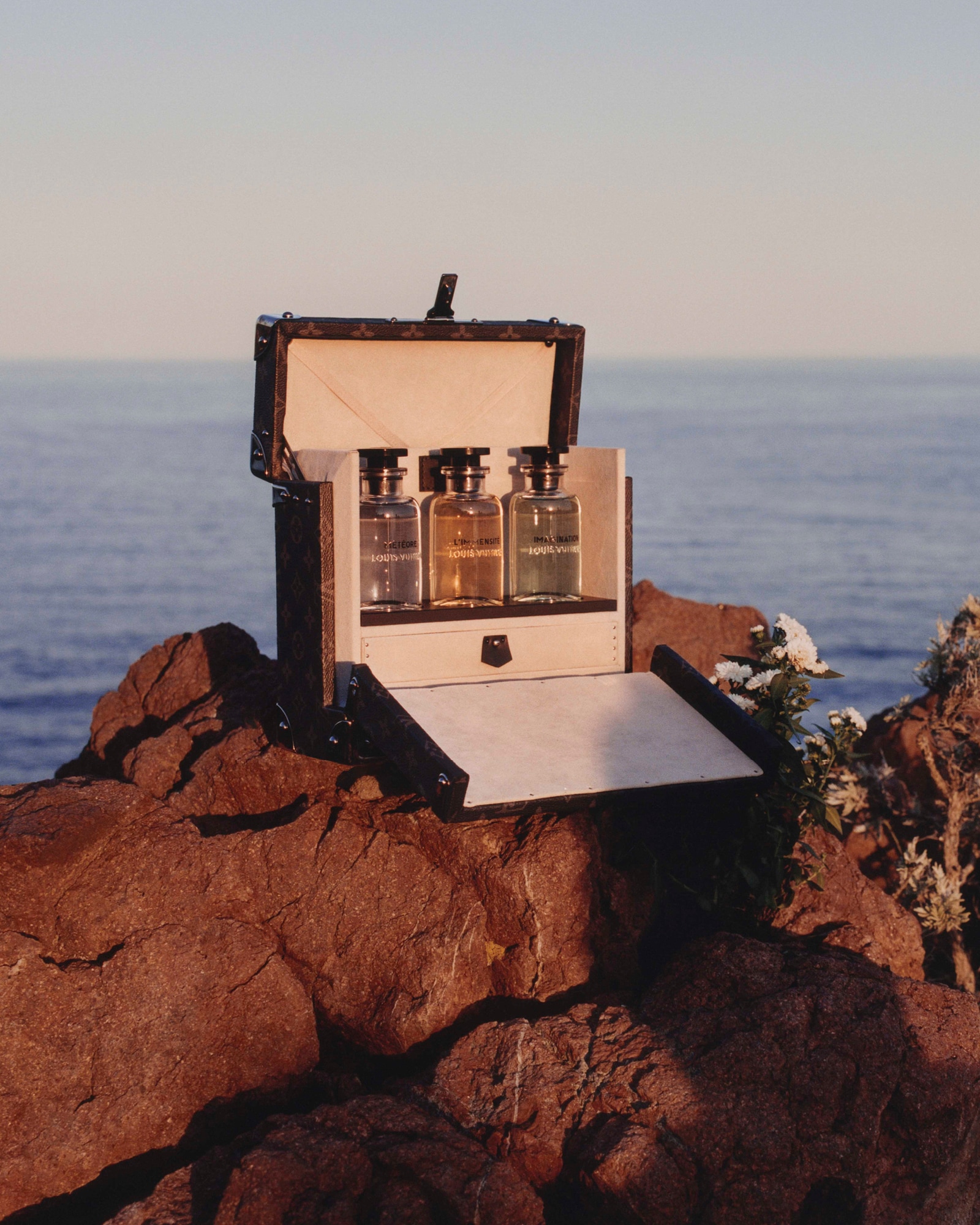 Aromatic - Perfumes and Beauty - Luxury Masculine Perfumes | LOUIS ...