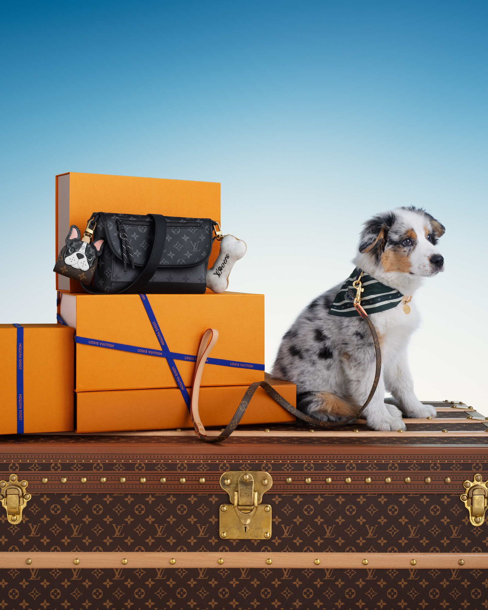 Gifts for Pets Collection for Gifts | LOUIS VUITTON