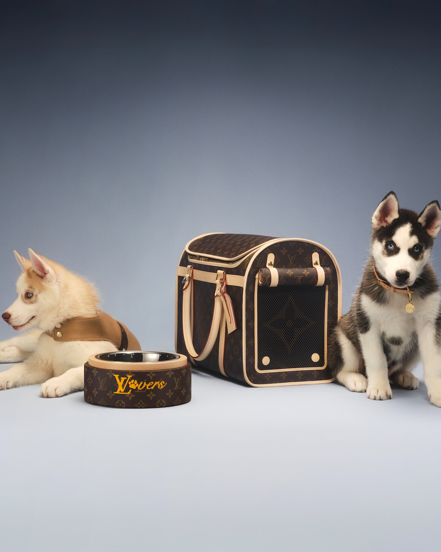 Designer Pet Accessories: Collars, Carriers & More | LOUIS VUITTON