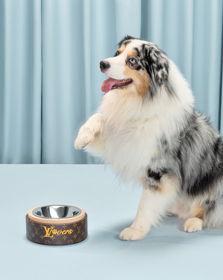 New For Pets | LOUIS VUITTON